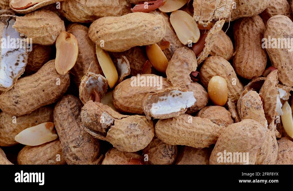 Peanuts in their shells Stock Videos & Footage - HD and 4K Video Clips ...