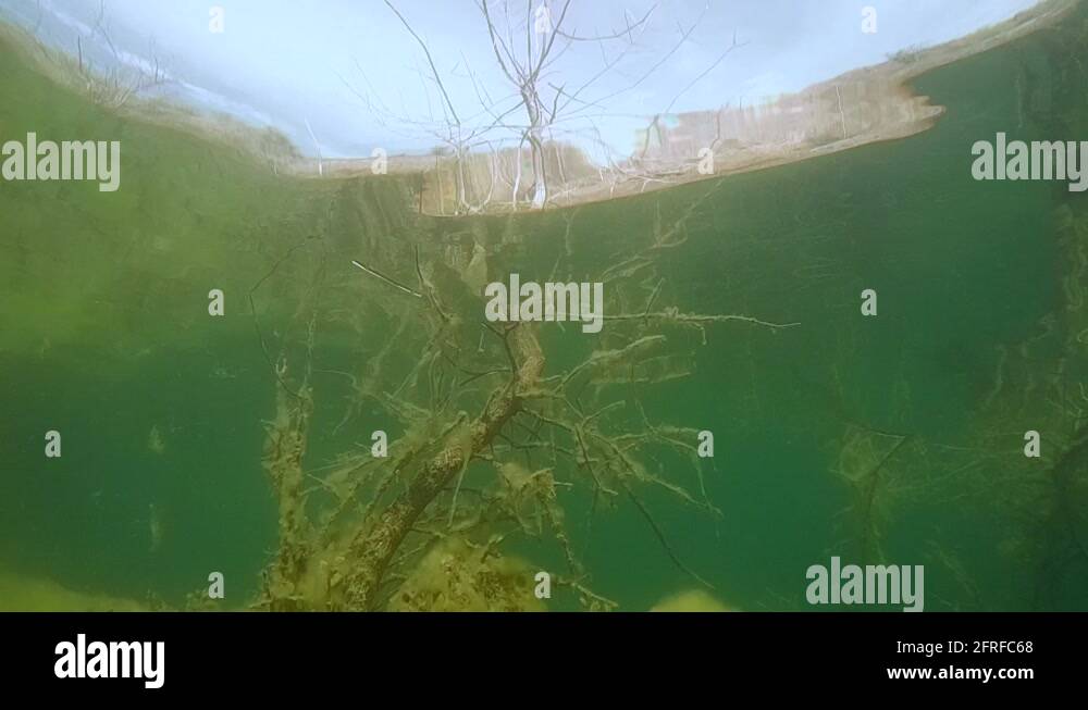 Protruding immersed surface water Stock Videos & Footage - HD and 4K ...