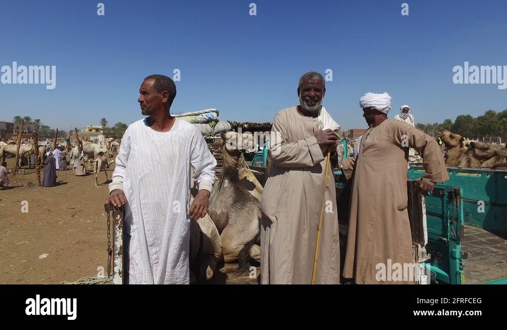 Salesman vendor arab Stock Videos & Footage - HD and 4K Video Clips - Alamy
