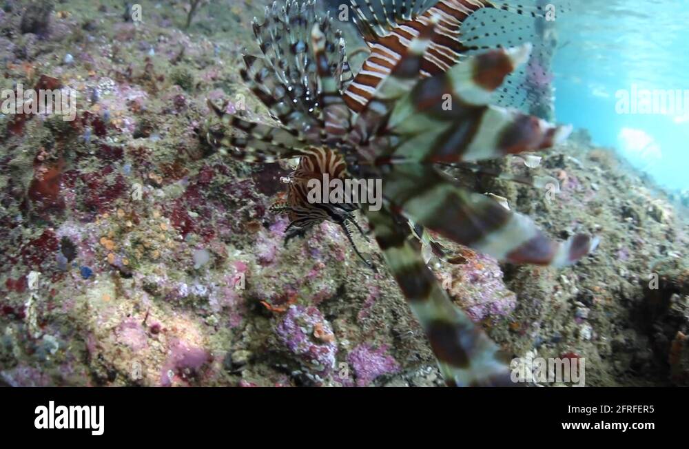 Shallow water warning Stock Videos & Footage - HD and 4K Video Clips ...