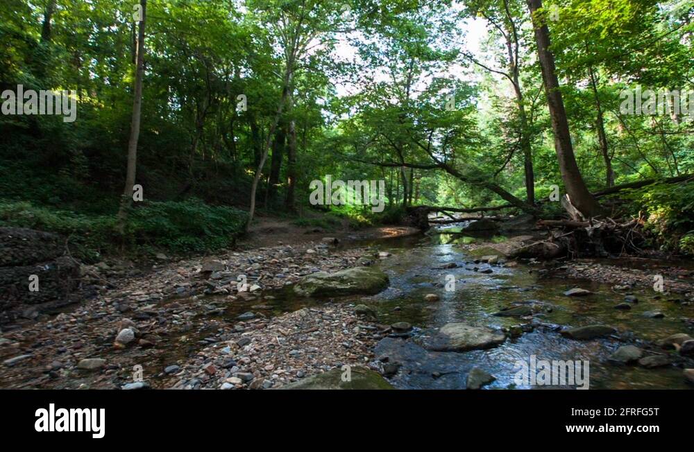 Stream through woods Stock Videos & Footage - HD and 4K Video Clips - Alamy