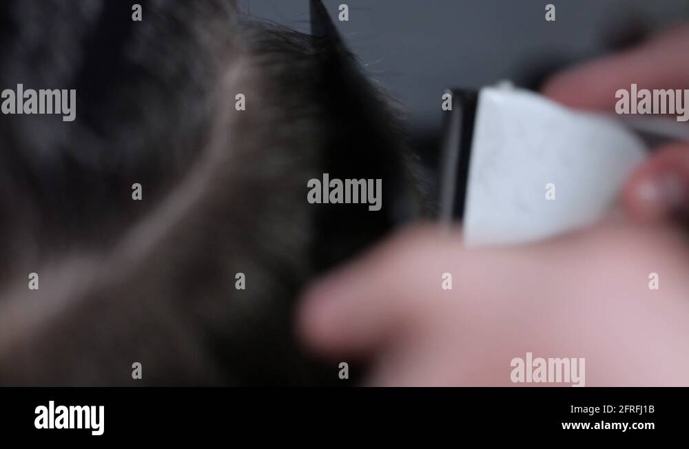 White beard cut out Stock Videos & Footage - HD and 4K Video Clips - Alamy