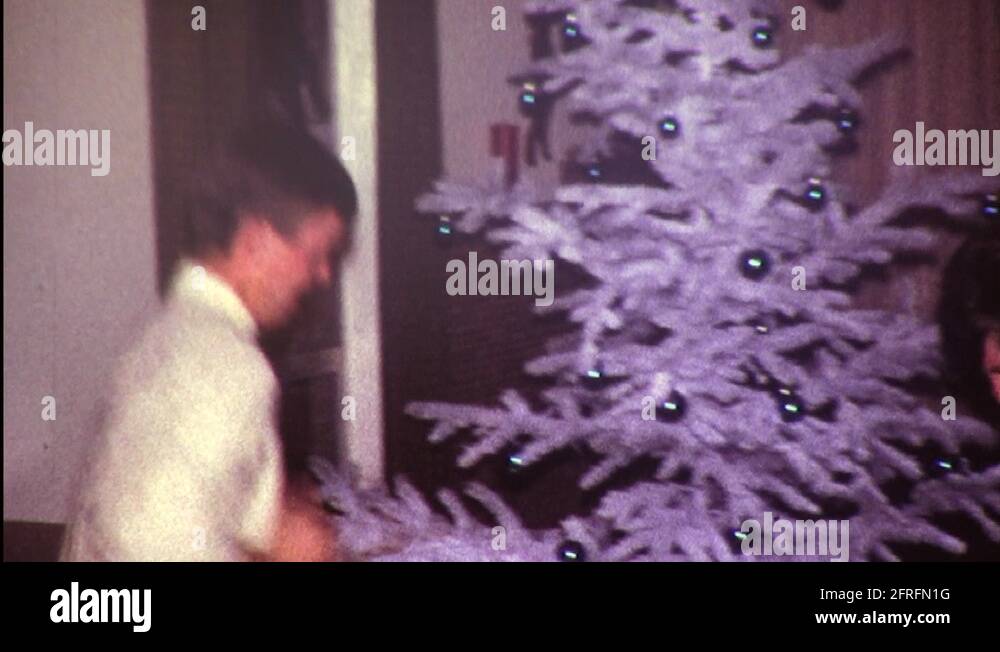 Tree man woman Stock Videos & Footage - HD and 4K Video Clips - Alamy