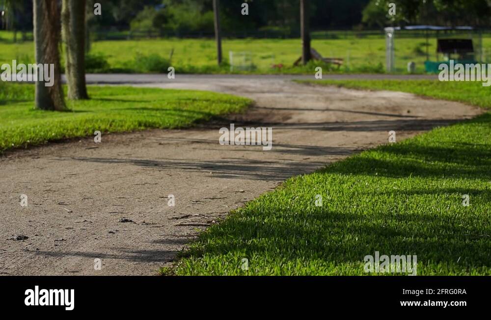 Farm House Driveway as Sunset Stock Video Footage - Alamy