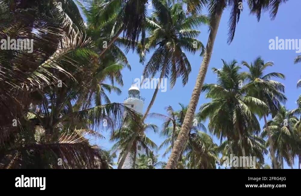 Dondra head Stock Videos & Footage - HD and 4K Video Clips - Alamy