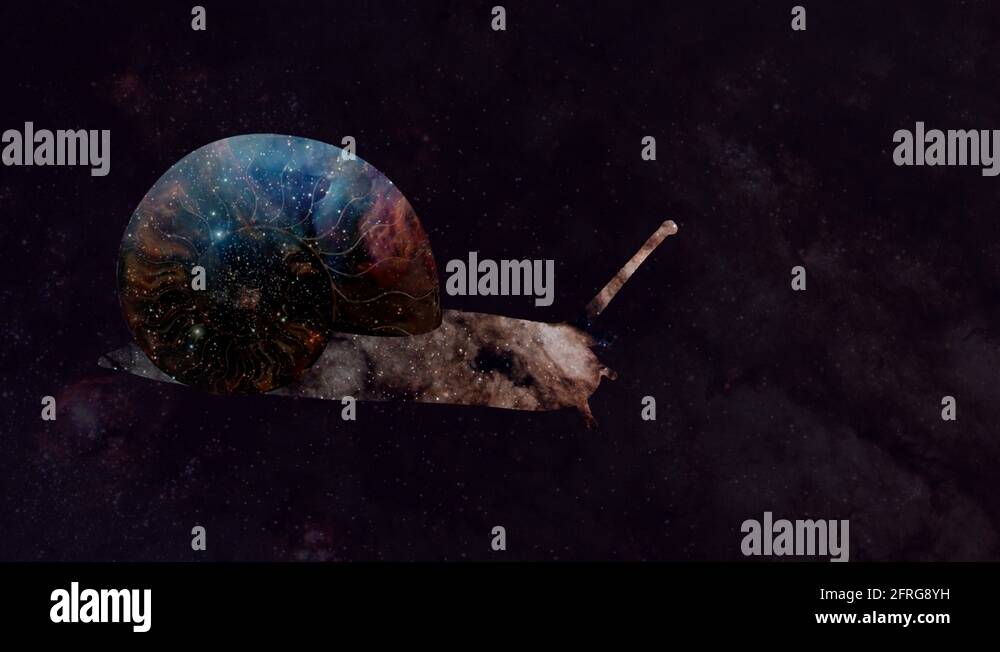 Space Snail , animals in space, snail crawling , snail crawling in ...