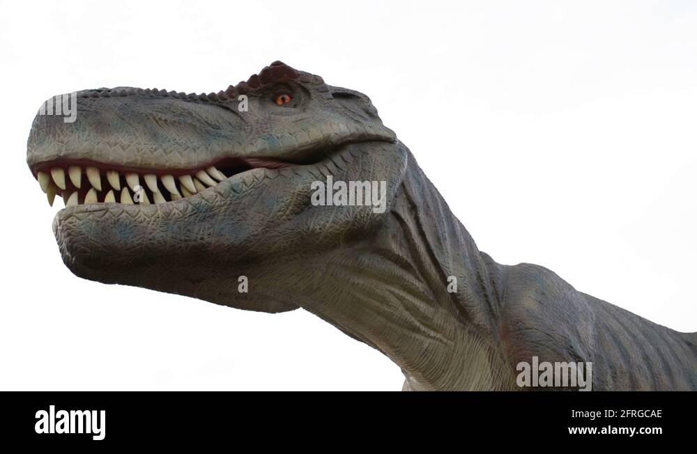 T rex tyrannosaurus rex Stock Videos & Footage - HD and 4K Video Clips ...