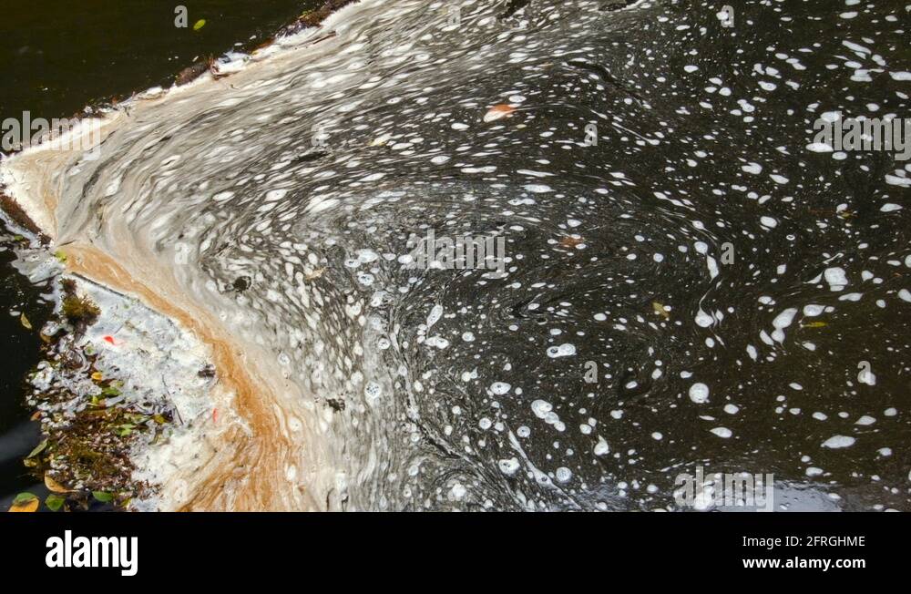 Water surface scum Stock Videos & Footage - HD and 4K Video Clips - Alamy