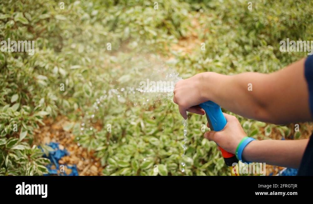 Bushes in park close Stock Videos & Footage - HD and 4K Video Clips - Alamy