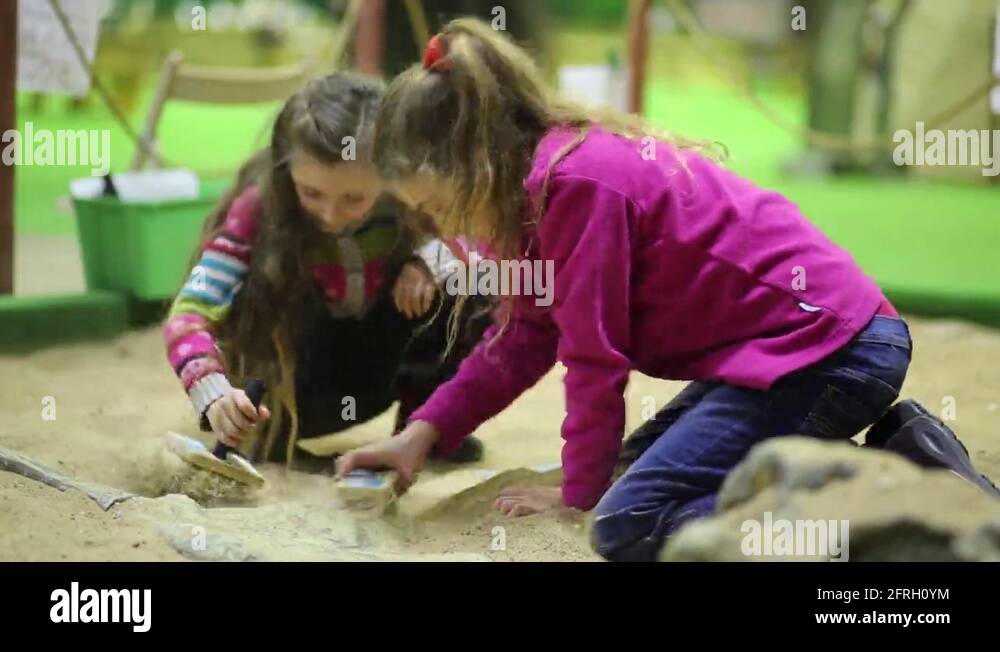 Dinosaur bones dig Stock Videos & Footage - HD and 4K Video Clips - Alamy