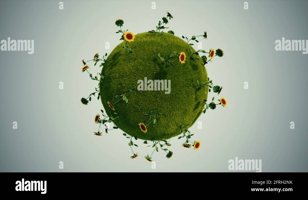 Sunflowers animation Stock Videos & Footage - HD and 4K Video Clips - Alamy