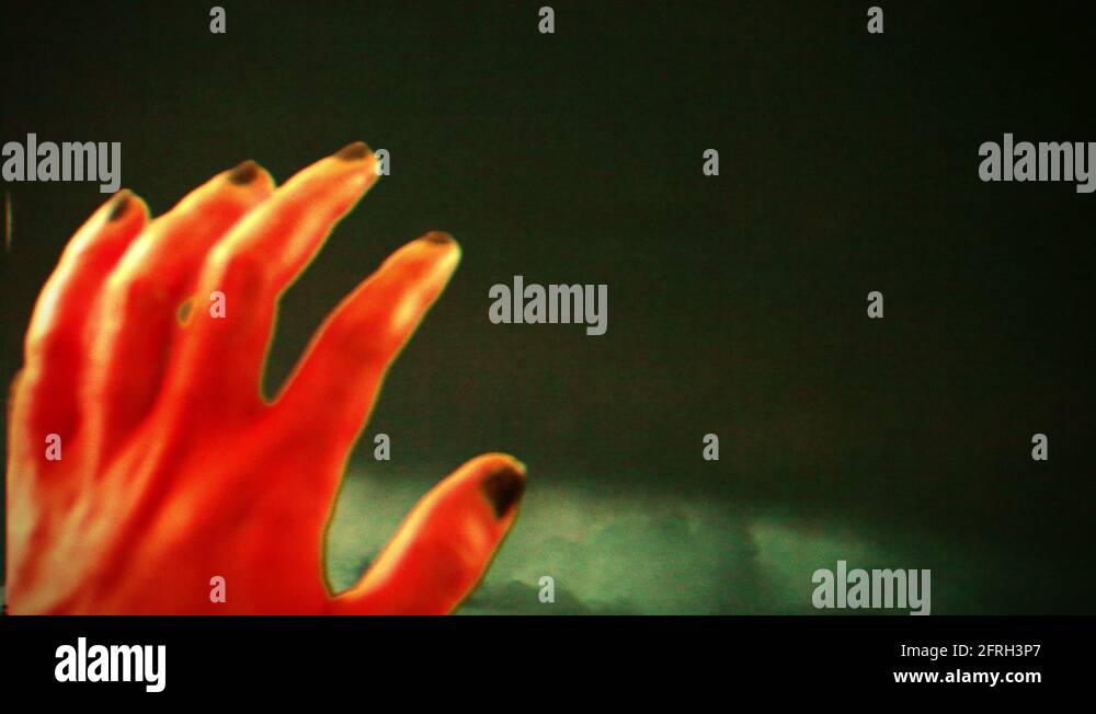 Claw grasping Stock Videos & Footage - HD and 4K Video Clips - Alamy