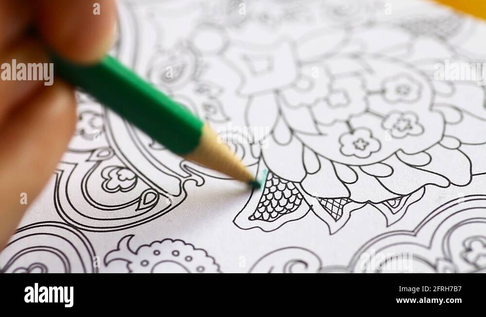 Coloring book color pencil Stock Videos & Footage - HD and 4K Video ...