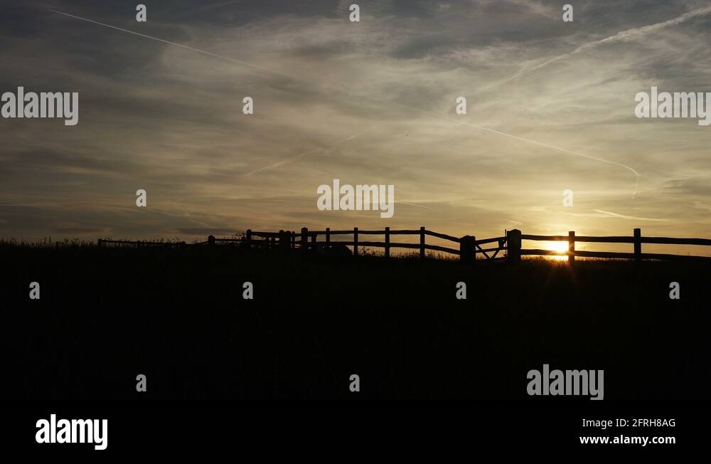 Jumping a gate Stock Videos & Footage - HD and 4K Video Clips - Alamy