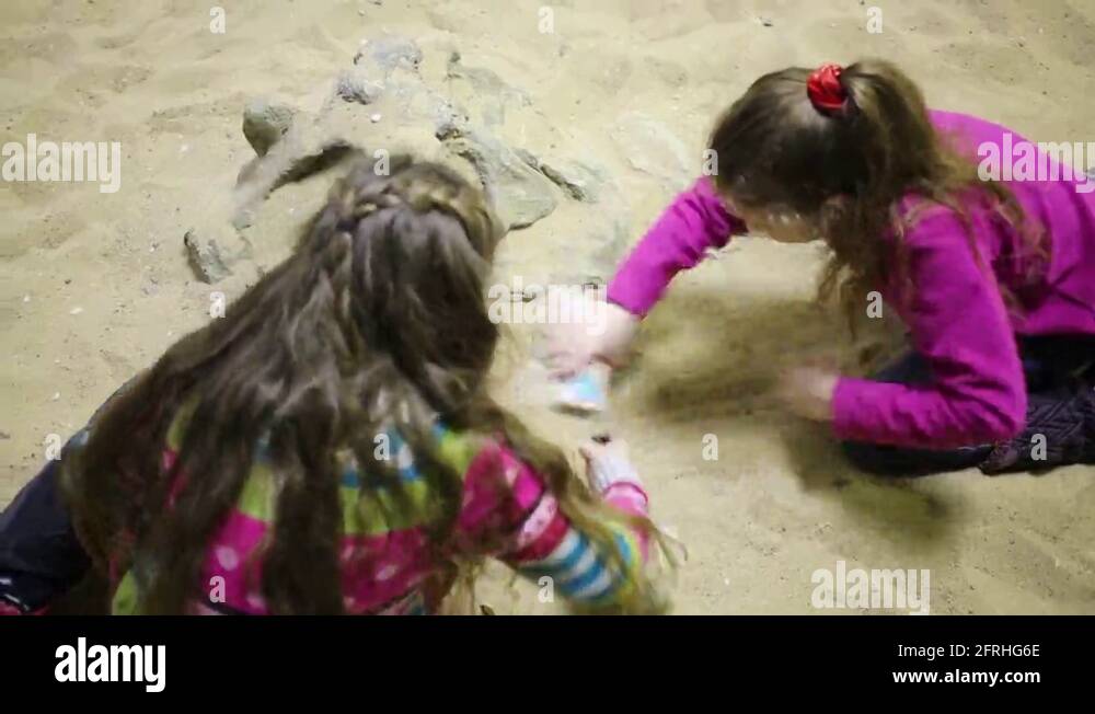 Bones of dinosaur Stock Videos & Footage - HD and 4K Video Clips - Alamy