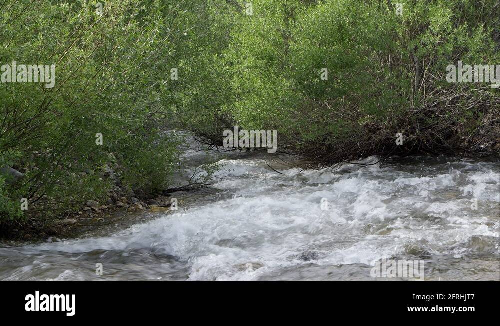 Zoomed view Stock Videos & Footage - HD and 4K Video Clips - Alamy