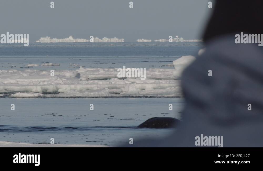 Dive into water splash Stock Videos & Footage - HD and 4K Video Clips ...