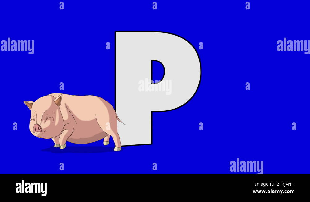 Pig word Stock Videos & Footage - HD and 4K Video Clips - Alamy