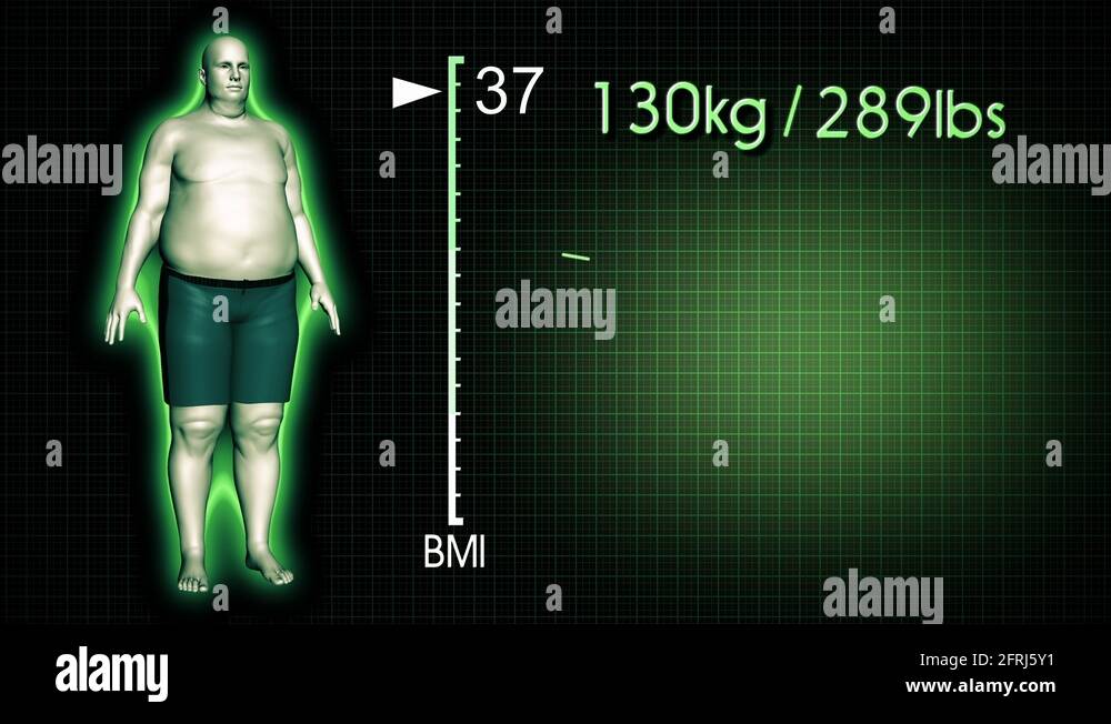 4K Simulation of a Obese Man Loosing Body Weight and BMI Index v2 2 ...