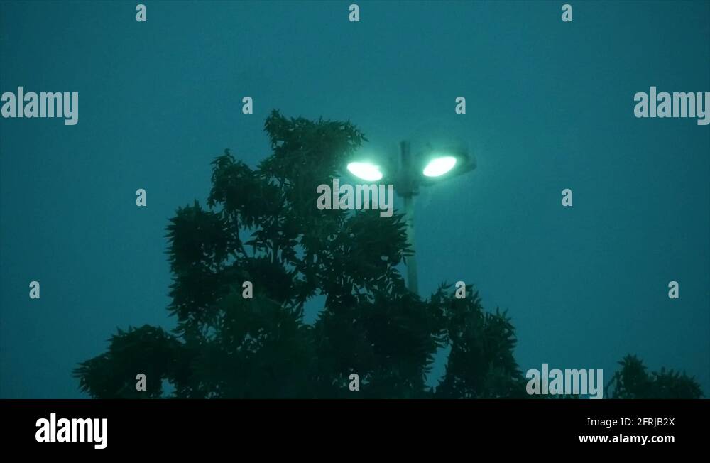 wind storm rain. wet weather background. windy stormy slow motion Stock ...