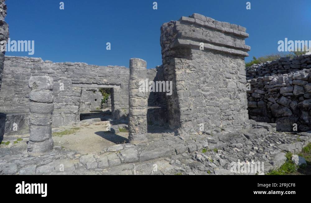 Jungle structures Stock Videos & Footage - HD and 4K Video Clips - Alamy