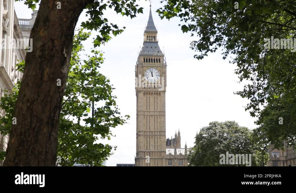 Big ben trees Stock Videos & Footage - HD and 4K Video Clips - Alamy
