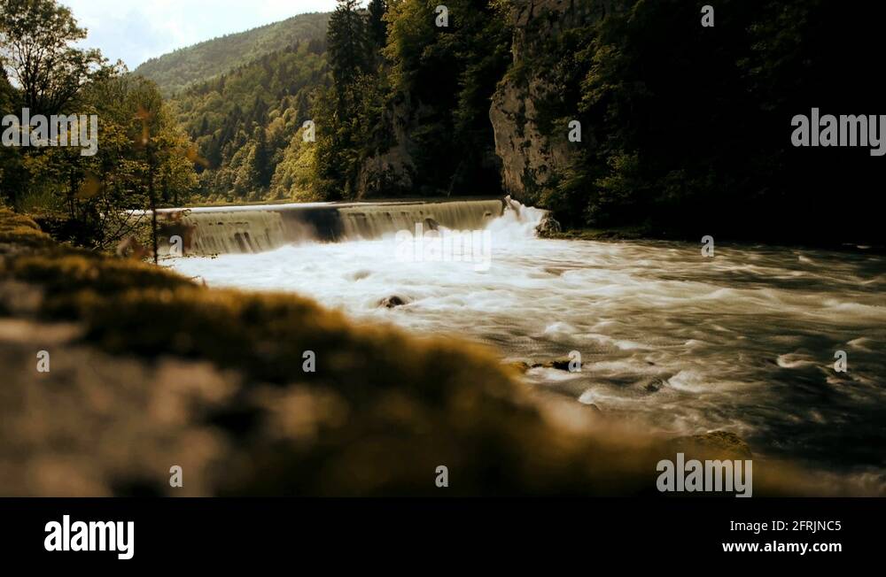 Energy ecosystem Stock Videos & Footage - HD and 4K Video Clips - Alamy