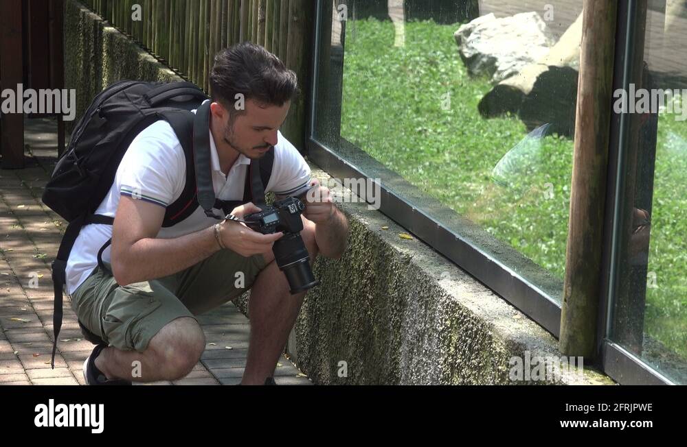 Zoo photographer Stock Videos & Footage - HD and 4K Video Clips - Alamy