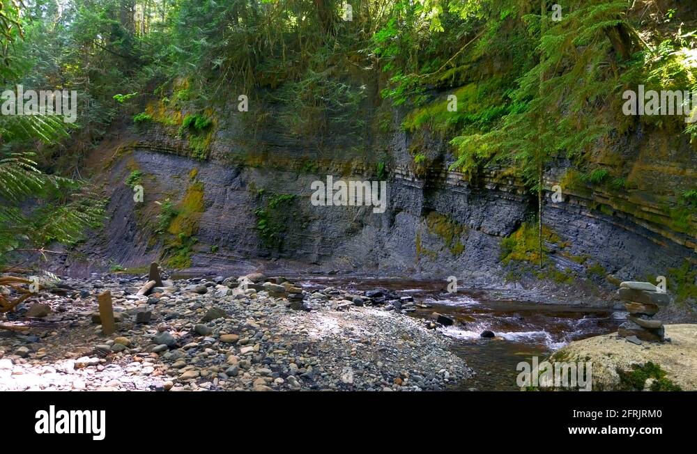 Dim sunlight Stock Videos & Footage - HD and 4K Video Clips - Alamy