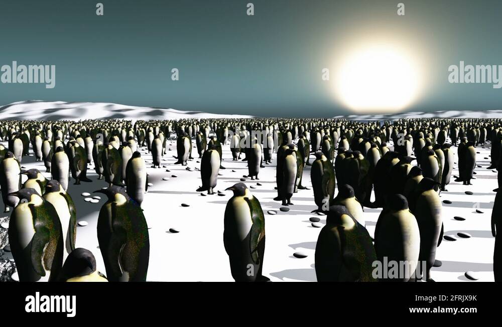 Emperor penguin colonies Stock Videos & Footage - HD and 4K Video Clips ...