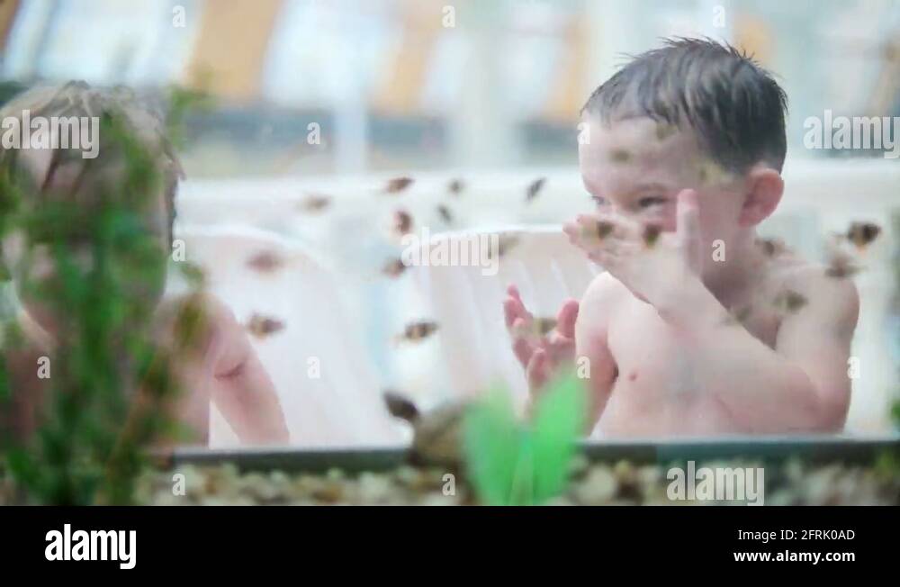 Two boys puffed out cheeks and depict swimming next to the aquarium ...