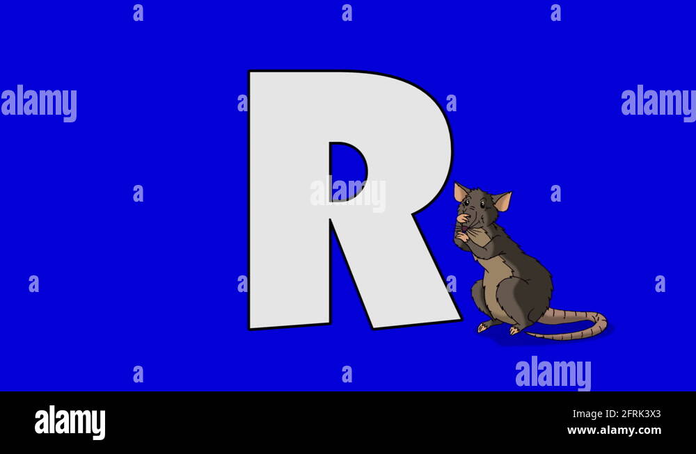 Rat alphabet Stock Videos & Footage - HD and 4K Video Clips - Alamy