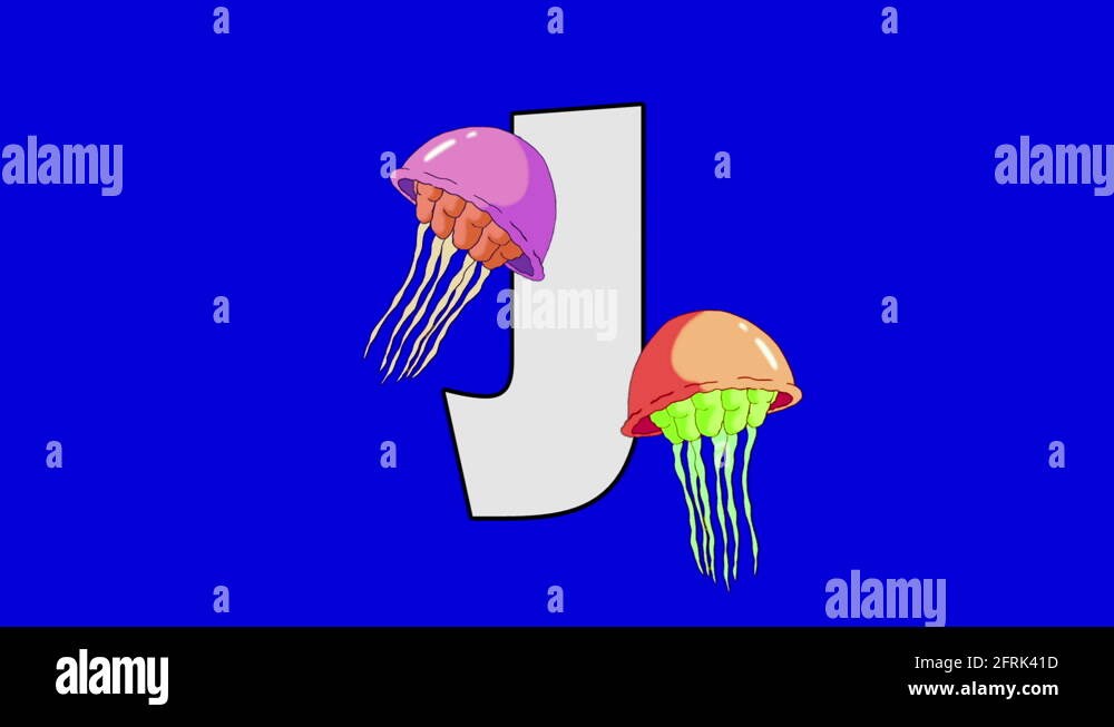 Letter j jellyfish Stock Videos & Footage - HD and 4K Video Clips - Alamy