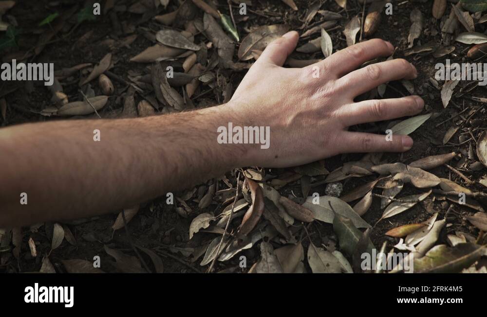 isolated hand detail in the forest clutching a pile of dried and ground ...