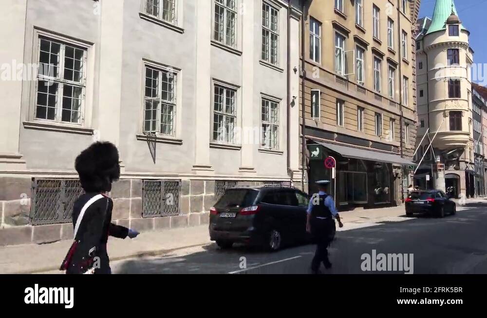 Danish military Stock Videos & Footage - HD and 4K Video Clips - Alamy