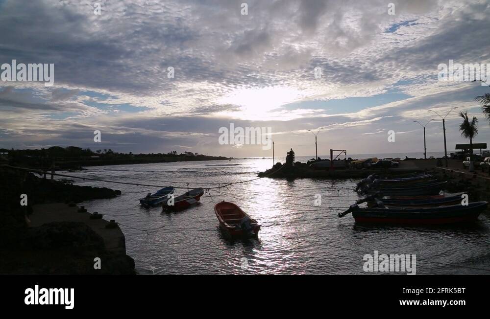 Roa symbol Stock Videos & Footage - HD and 4K Video Clips - Alamy
