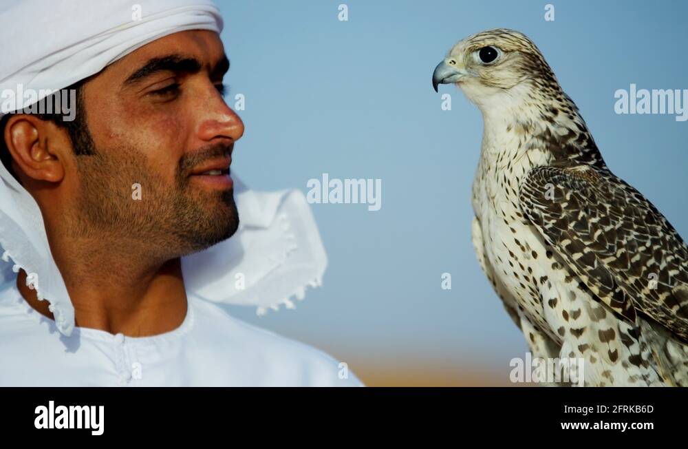 Trained falcon tethered to male owner wearing traditional Arabic dress ...