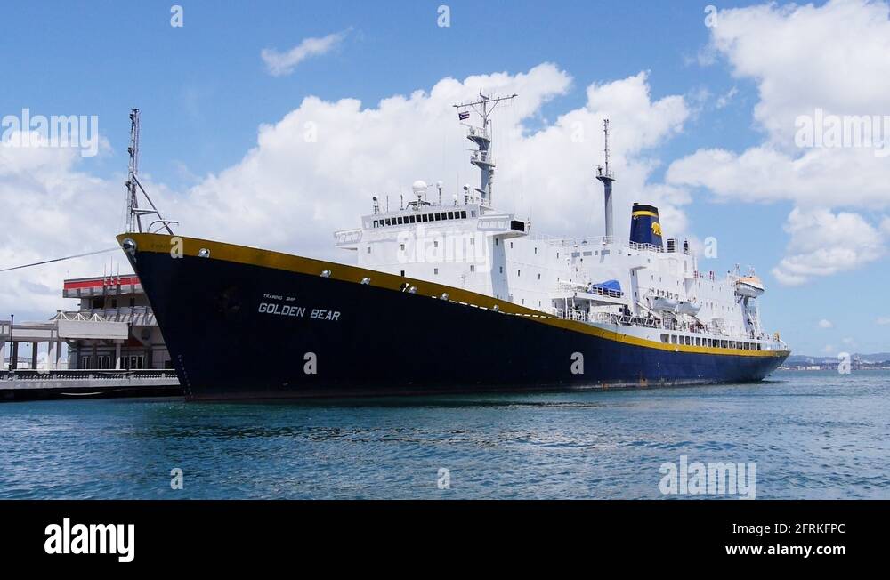 Golden bear Stock Videos & Footage - HD and 4K Video Clips - Alamy