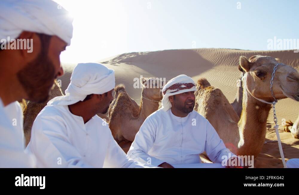 Caravan train Stock Videos & Footage - HD and 4K Video Clips - Alamy