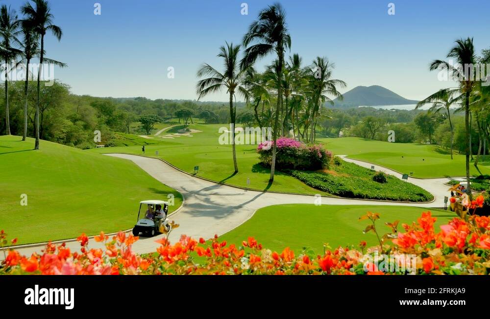 Green fairway grass trees Stock Videos & Footage - HD and 4K Video ...