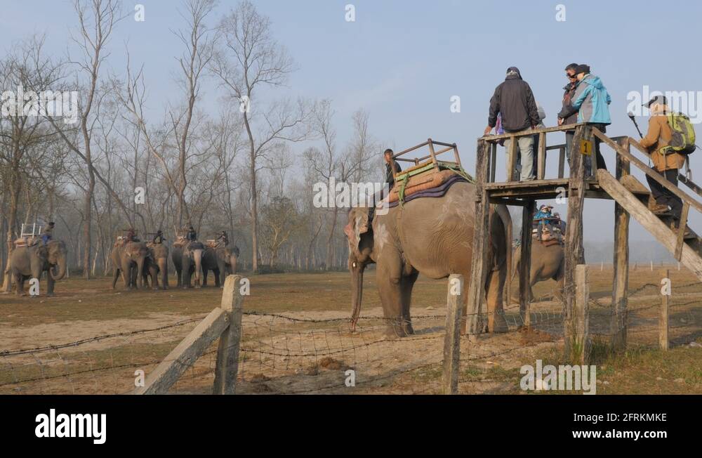 Climbing tour Stock Videos & Footage - HD and 4K Video Clips - Alamy