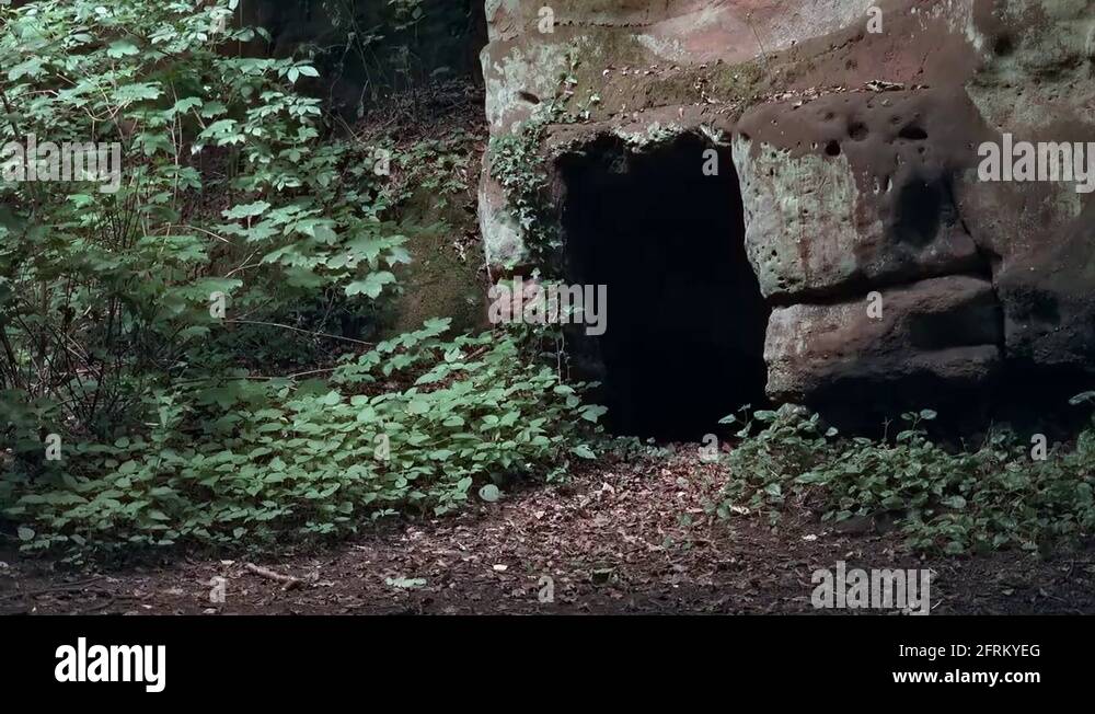 Badger cave Stock Videos & Footage - HD and 4K Video Clips - Alamy
