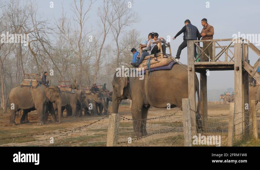 Nepal safari Stock Videos & Footage - HD and 4K Video Clips - Alamy