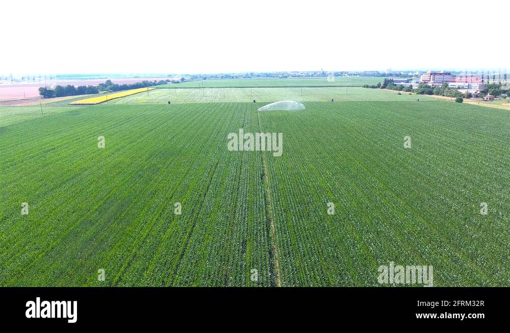Field irrigation circle Stock Videos & Footage - HD and 4K Video Clips ...