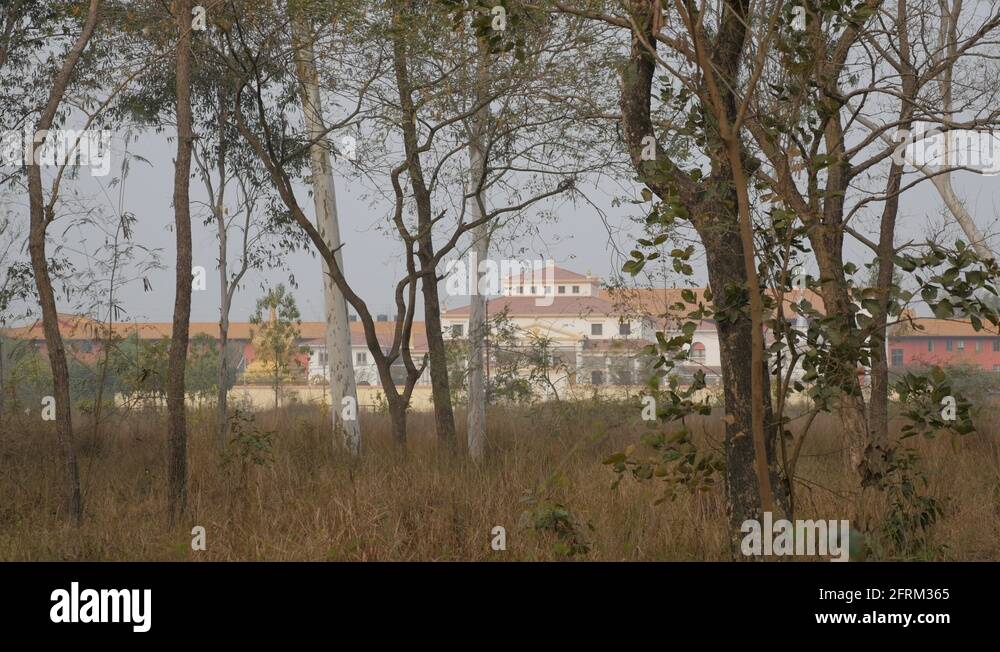 Temple with trees Stock Videos & Footage - HD and 4K Video Clips - Alamy
