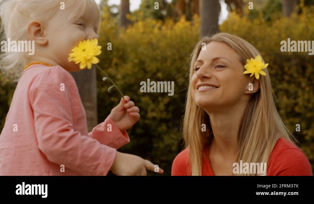 Mother daughter in yellow Stock Videos & Footage - HD and 4K Video ...