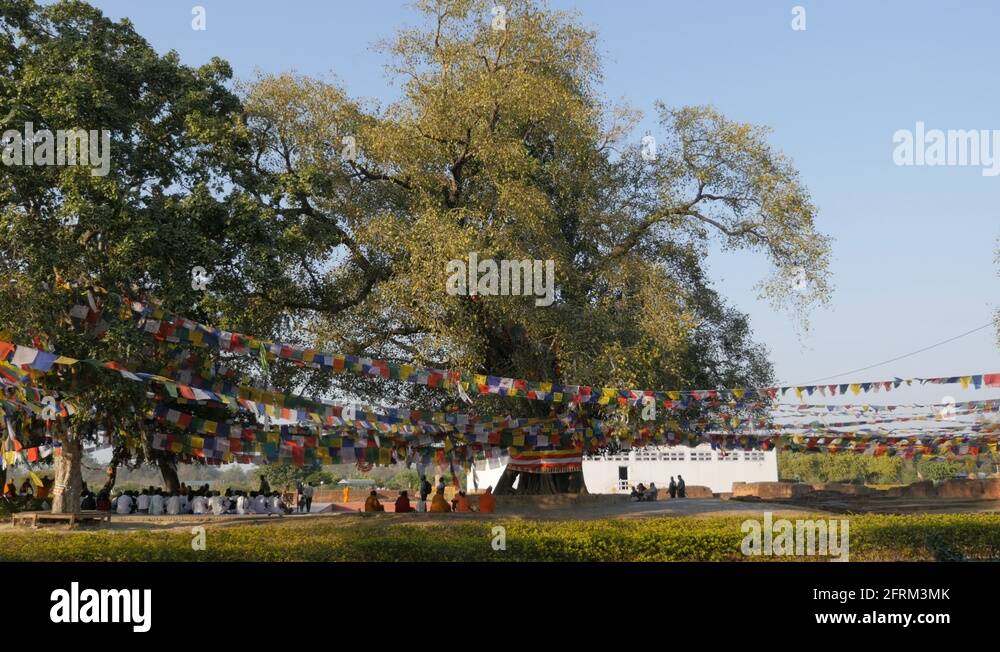 Pilgrims praying under tree at Maha Devi temple,Lumbini,Nepal Stock ...