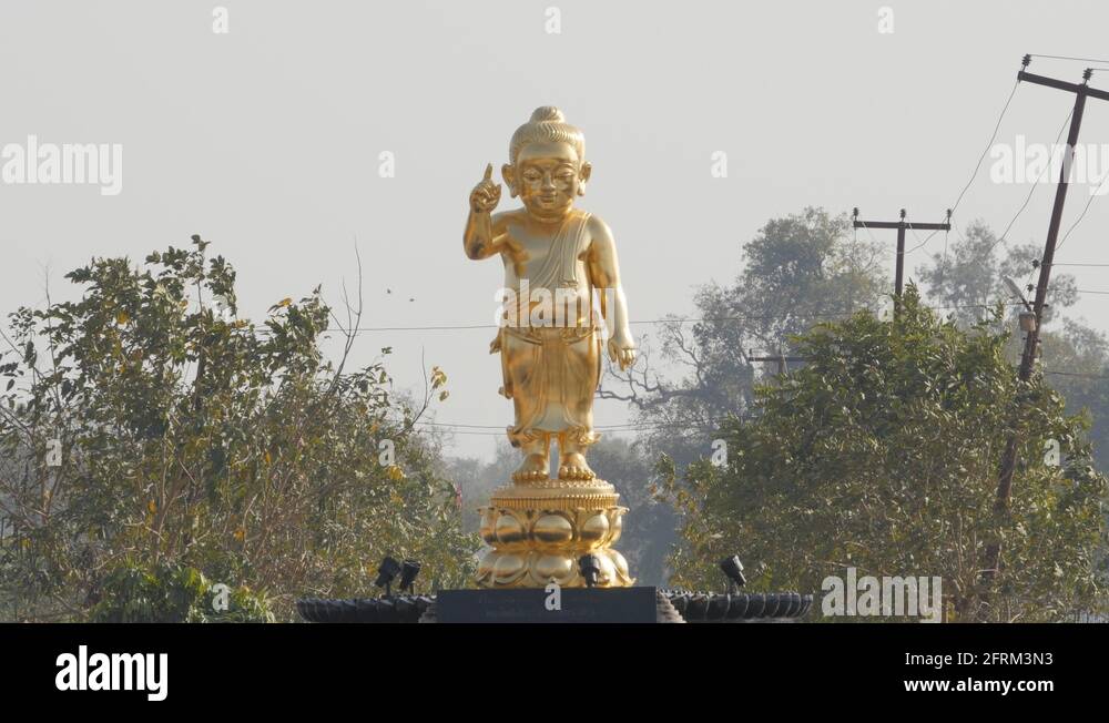 Baby buddha Stock Videos & Footage - HD and 4K Video Clips - Alamy