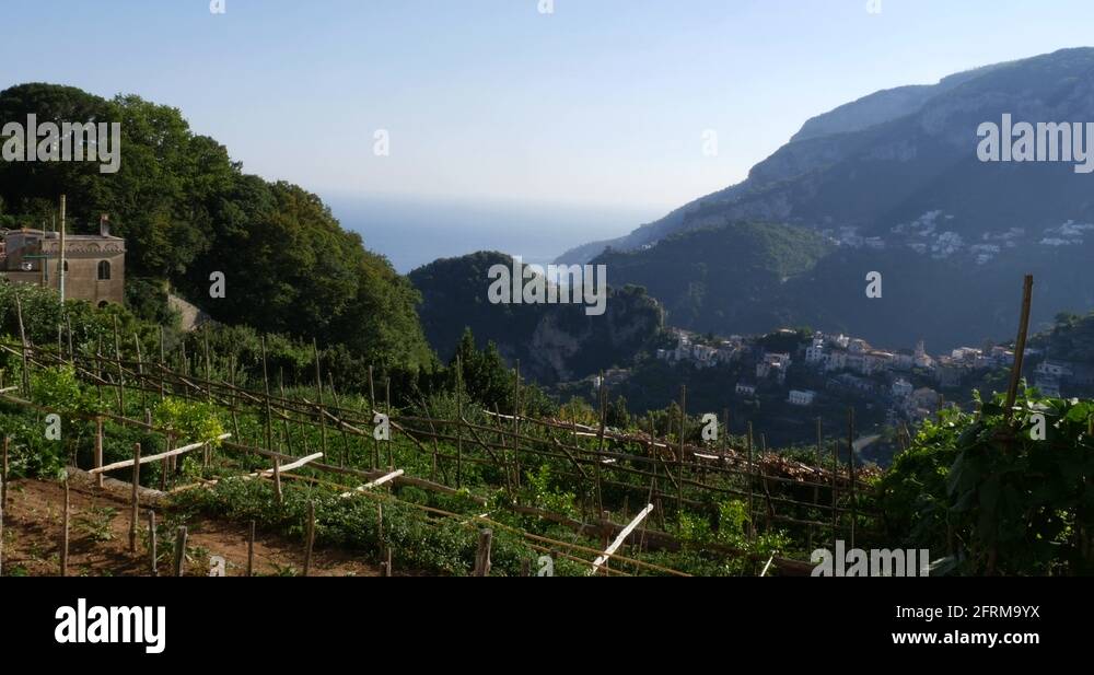 Ravello trees Stock Videos & Footage - HD and 4K Video Clips - Alamy