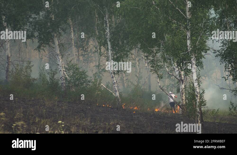 People fighting a forest fire Stock Videos & Footage - HD and 4K Video ...